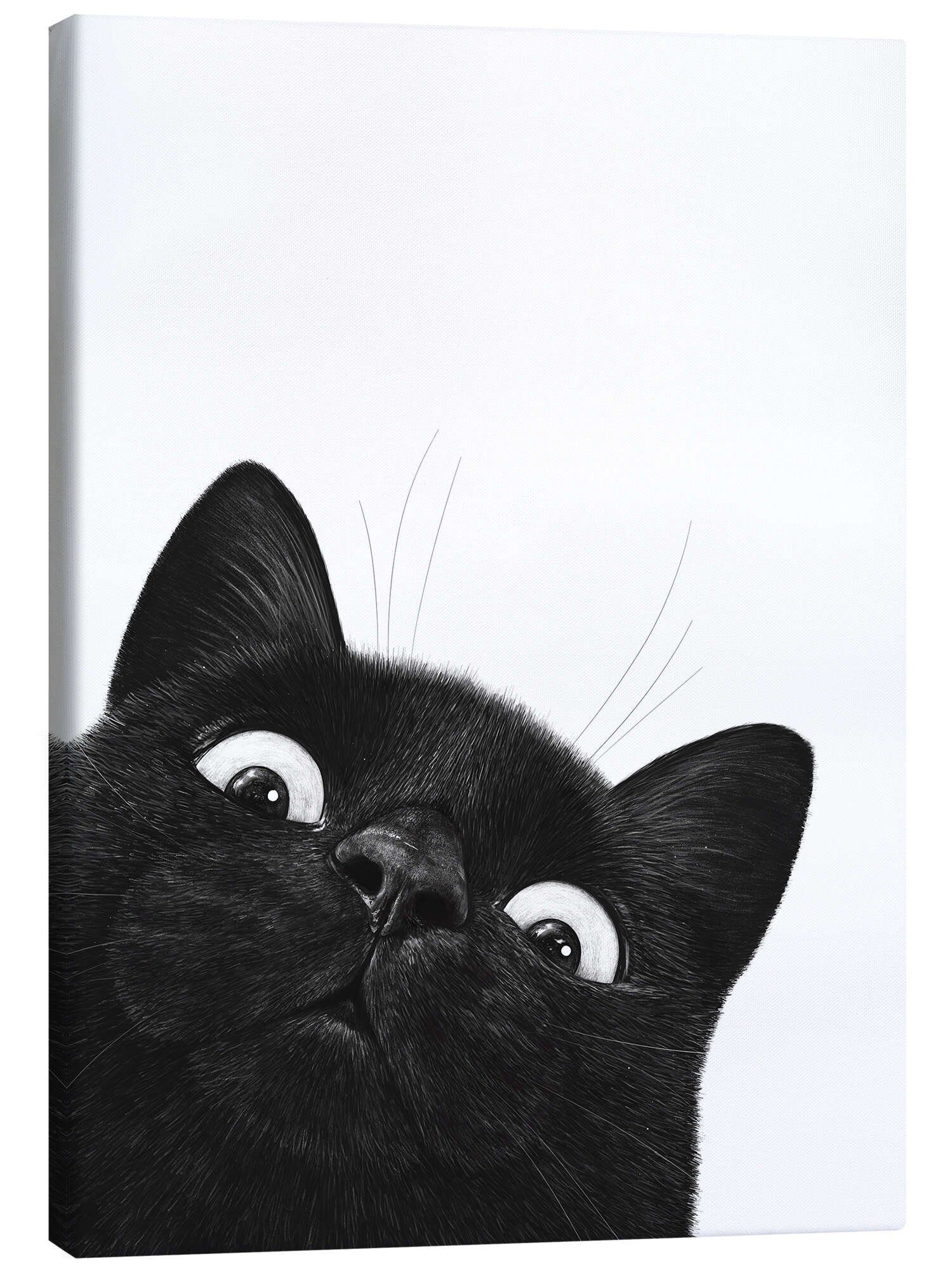 Posterlounge Leinwandbild Valeriya Korenkova Lustige Schwarze Katze