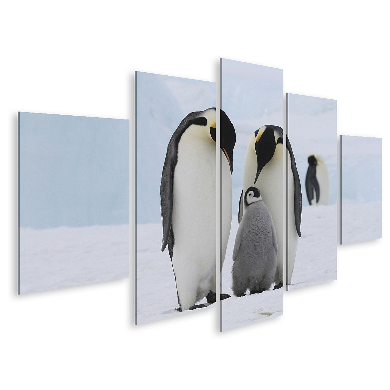 islandburner Leinwandbild Bild auf Leinwand Pinguin Familie Wandbild Poster Kunstdruck Bilder