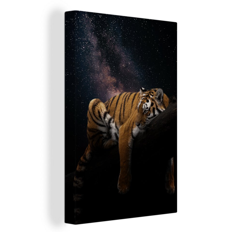 Onemillioncanvasses® Leinwandbild Tiger Universum Sterne 1 St