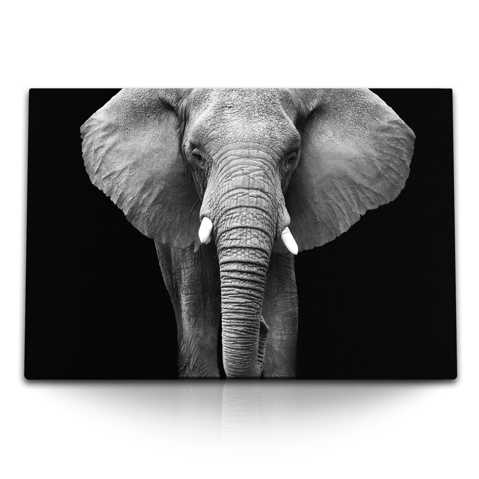 Sinus Art Leinwandbild 120x80cm Wandbild Auf Leinwand Grauer Elefant
