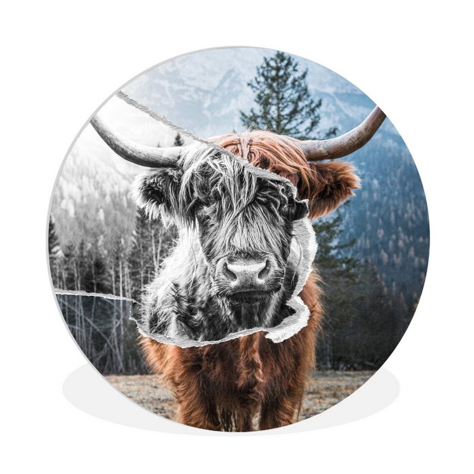Muchowow Gemälde Tiere Schottischer Highlander Stier 1 St