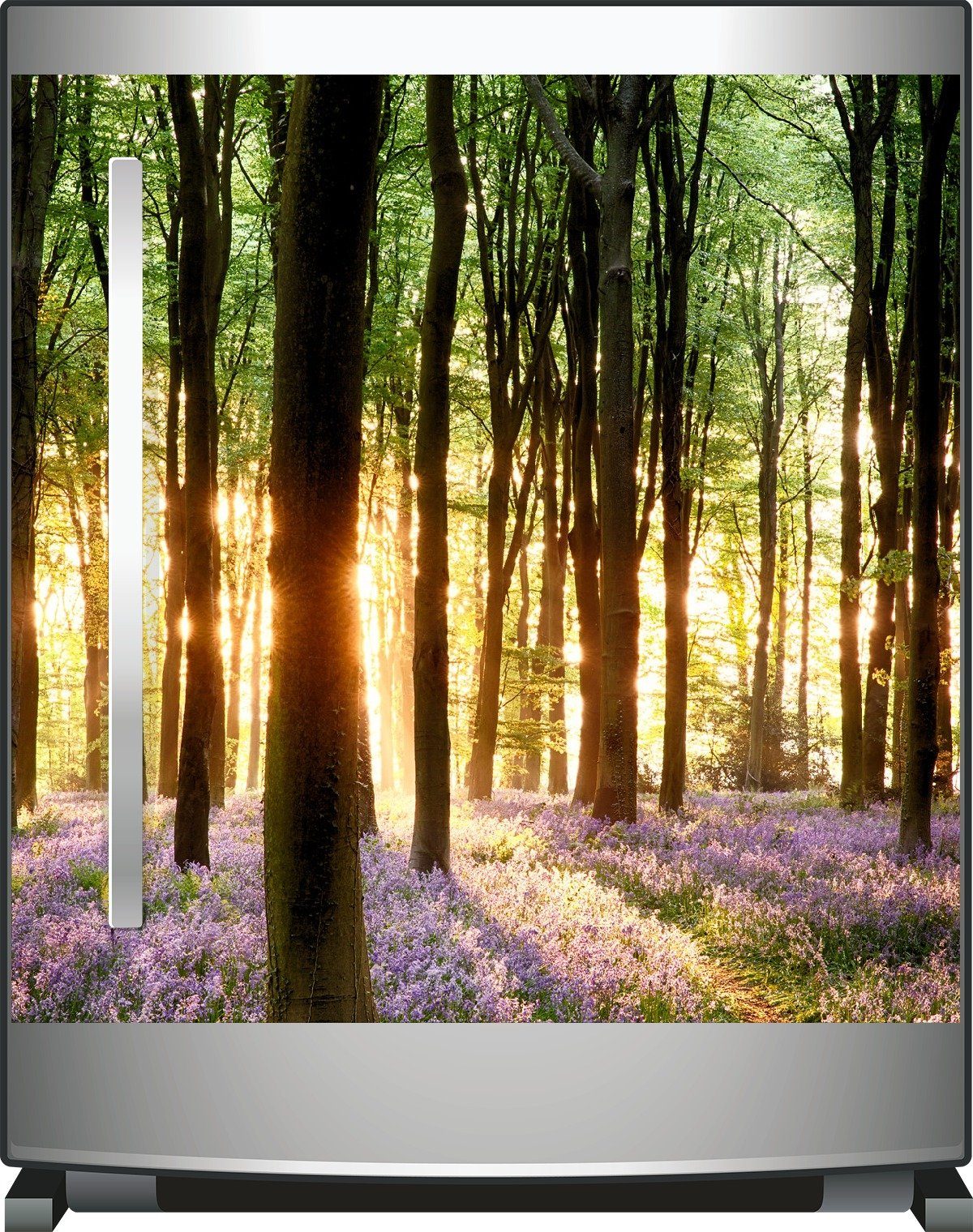 Wallario Möbelfolie Blaue Hasenglöckchen Im Wald Mit Sonnenstrahlen