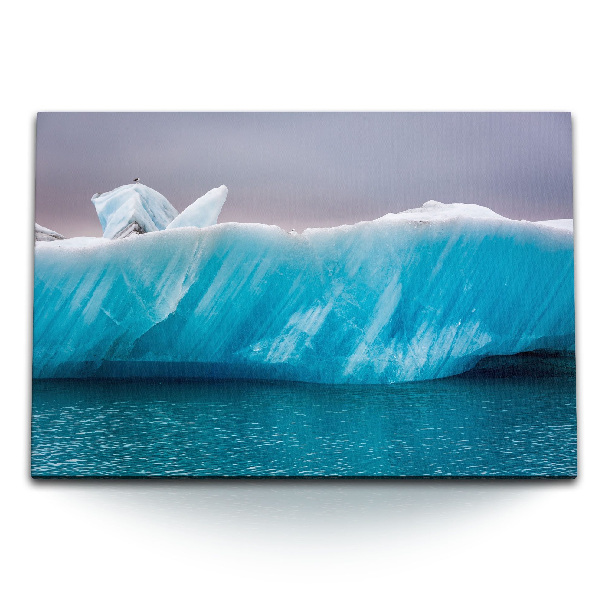 Sinus Art Leinwandbild 120x80cm Wandbild auf Leinwand Eis Eisberg Hellblau Ozean Möwe Kunstvo ...