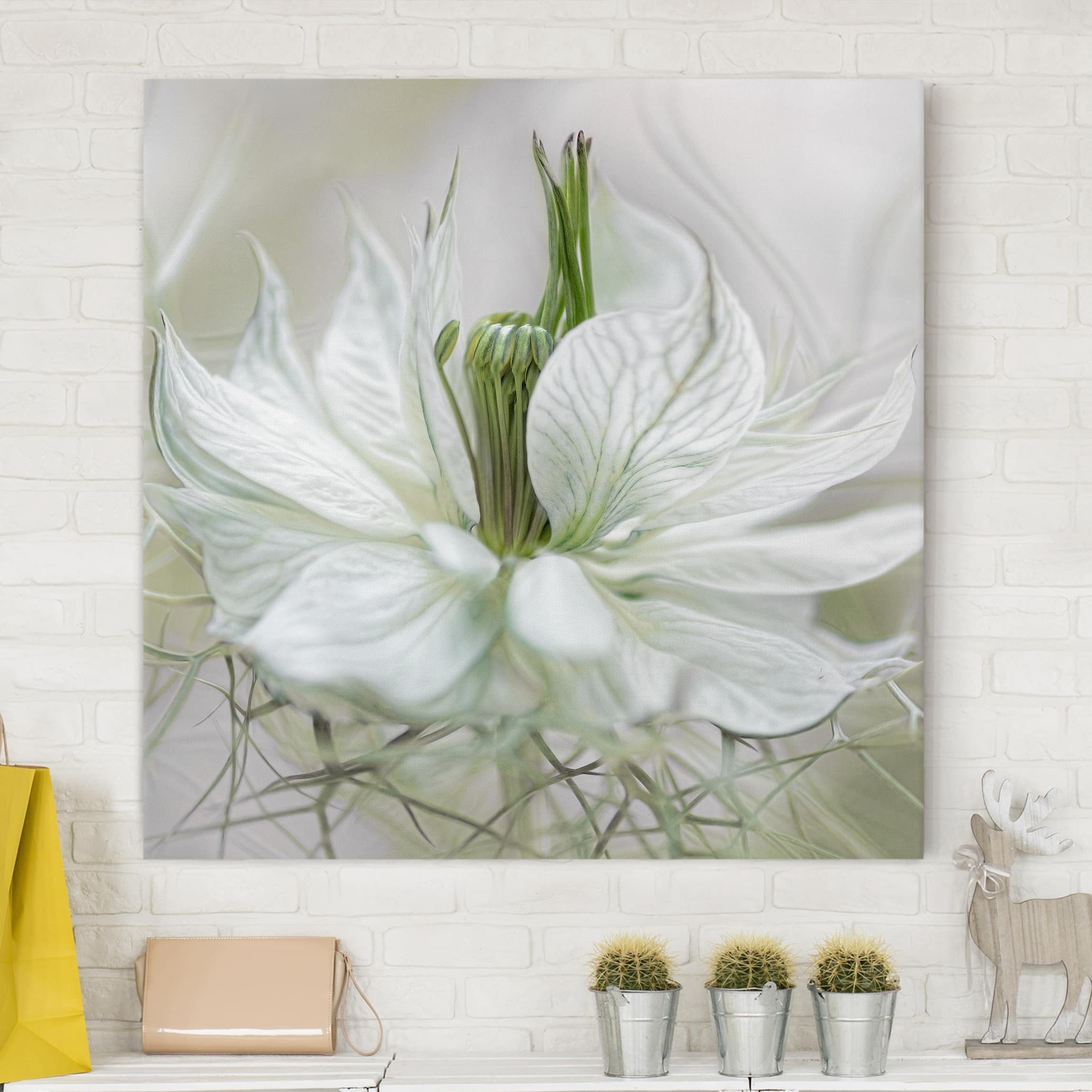 Bilderdepot24 Leinwandbild Blumen Modern floral Natur Weiße Nigella weiss Bild auf Leinwand XXL ...