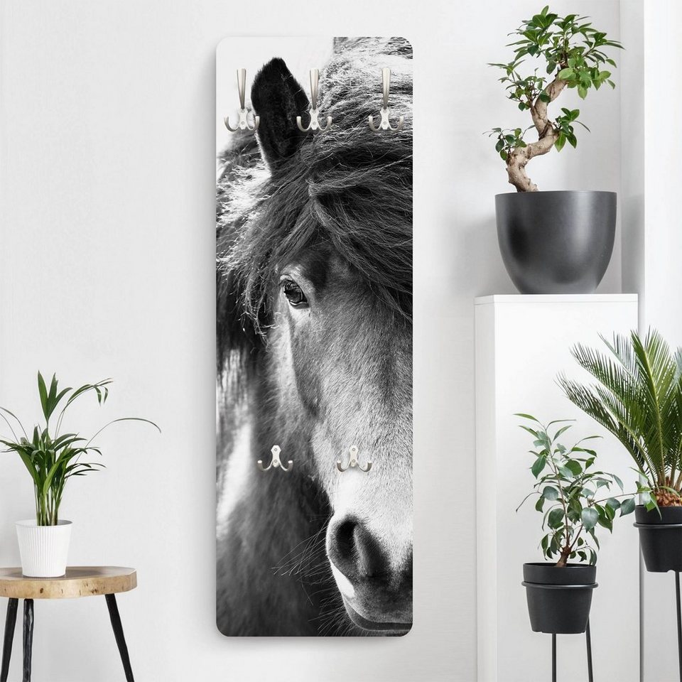 Bilderdepot24 Garderobenpaneel Schwarz Weiß Tiere Island Pferd In