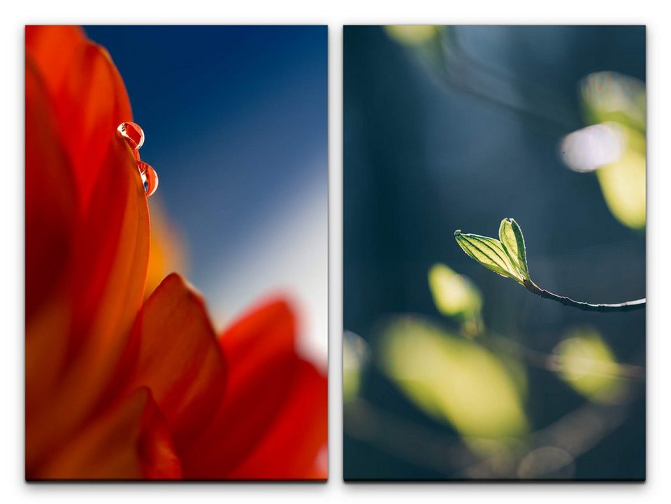 Sinus Art Leinwandbild 2 Bilder Je 60x90cm Blüte Knospen Zweig Frühling