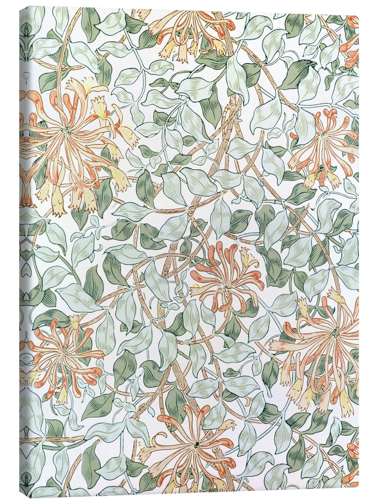 Posterlounge Leinwandbild William Morris Geißblatt Ii Wohnzimmer