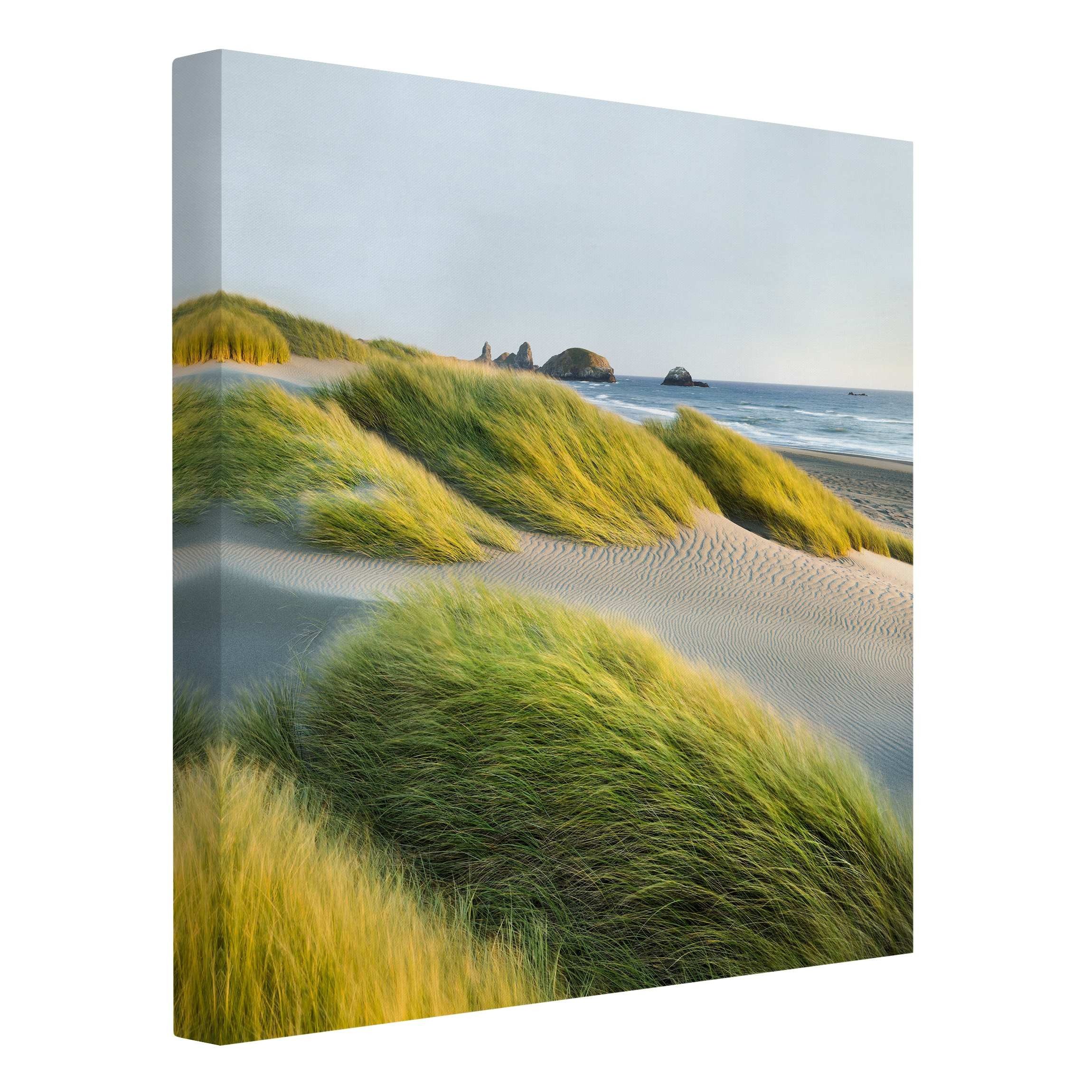 Bilderdepot24 Leinwandbild Strand Natur Modern Dünen Gräser Meer grün Bild auf Leinwand Groß XXL ...