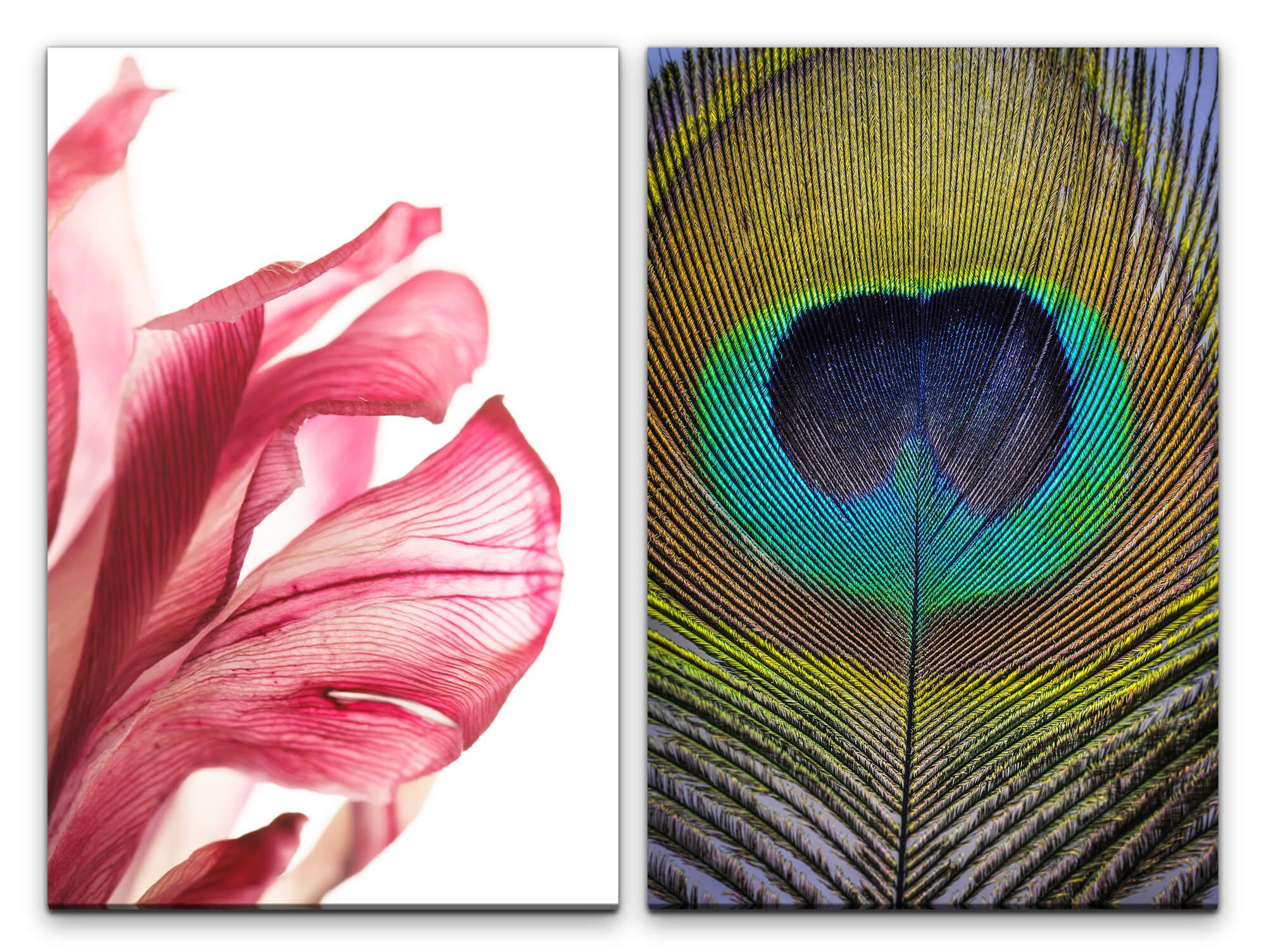 Sinus Art Leinwandbild 2 Bilder Je 60x90cm Pfaufeder Rote Blüte