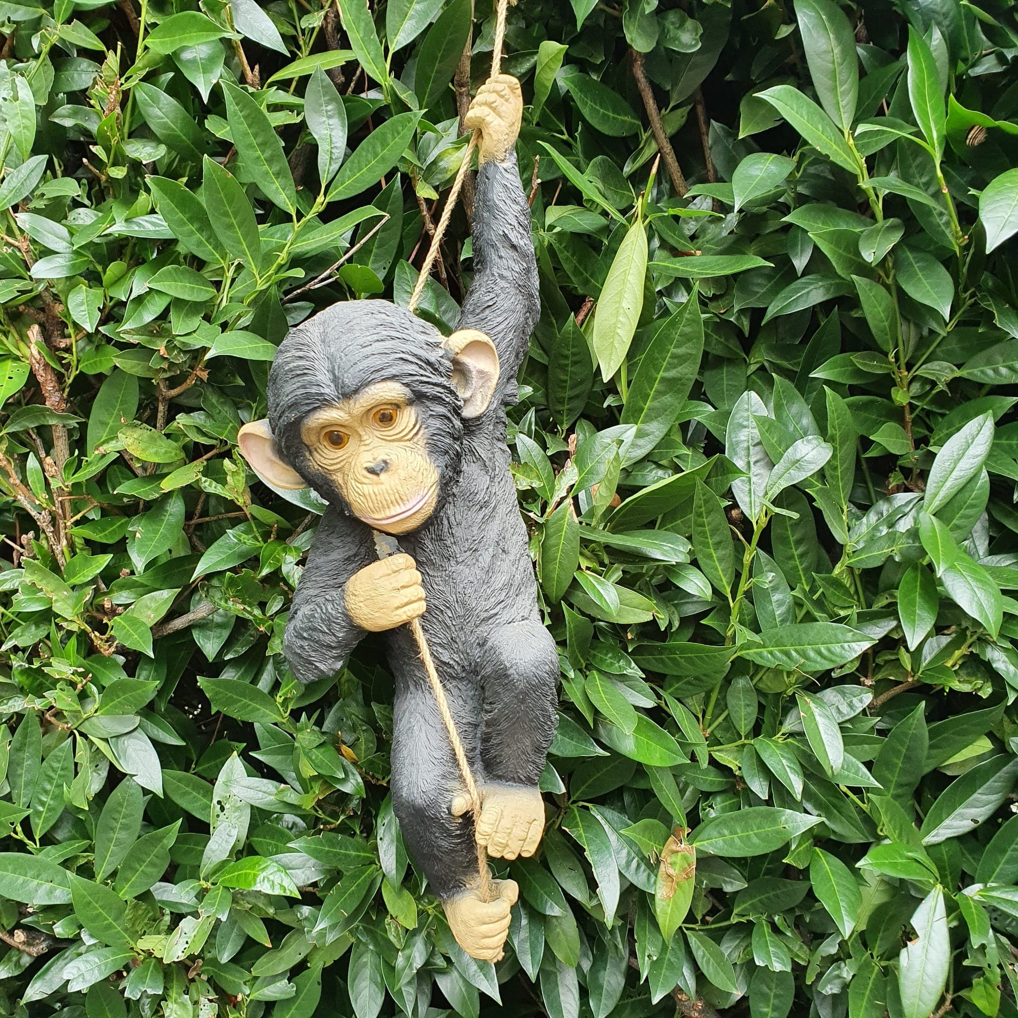 Aspinaworld Gartenfigur Affen Figur Zum Aufhängen 53 Cm Wetterfest