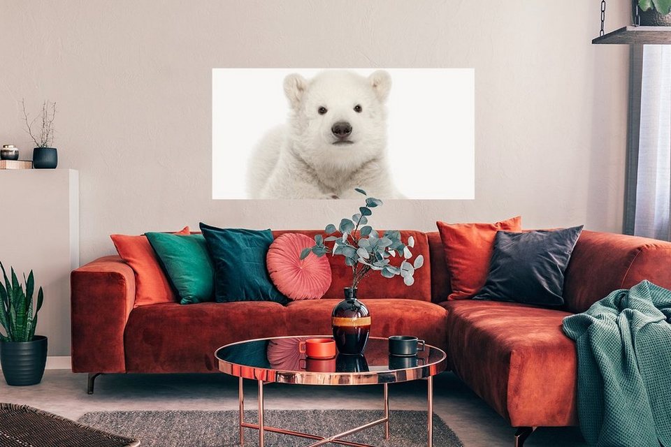 Muchowow Poster Eisbär Tiere Kinder Weiß Jungen Mädchen 1