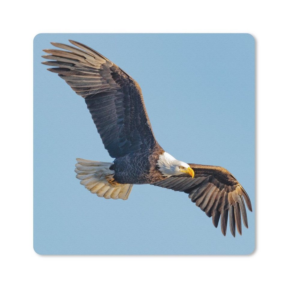 Muchowow Mauspad Vogel Seeadler Fliegen 1 St Mousepad Computer