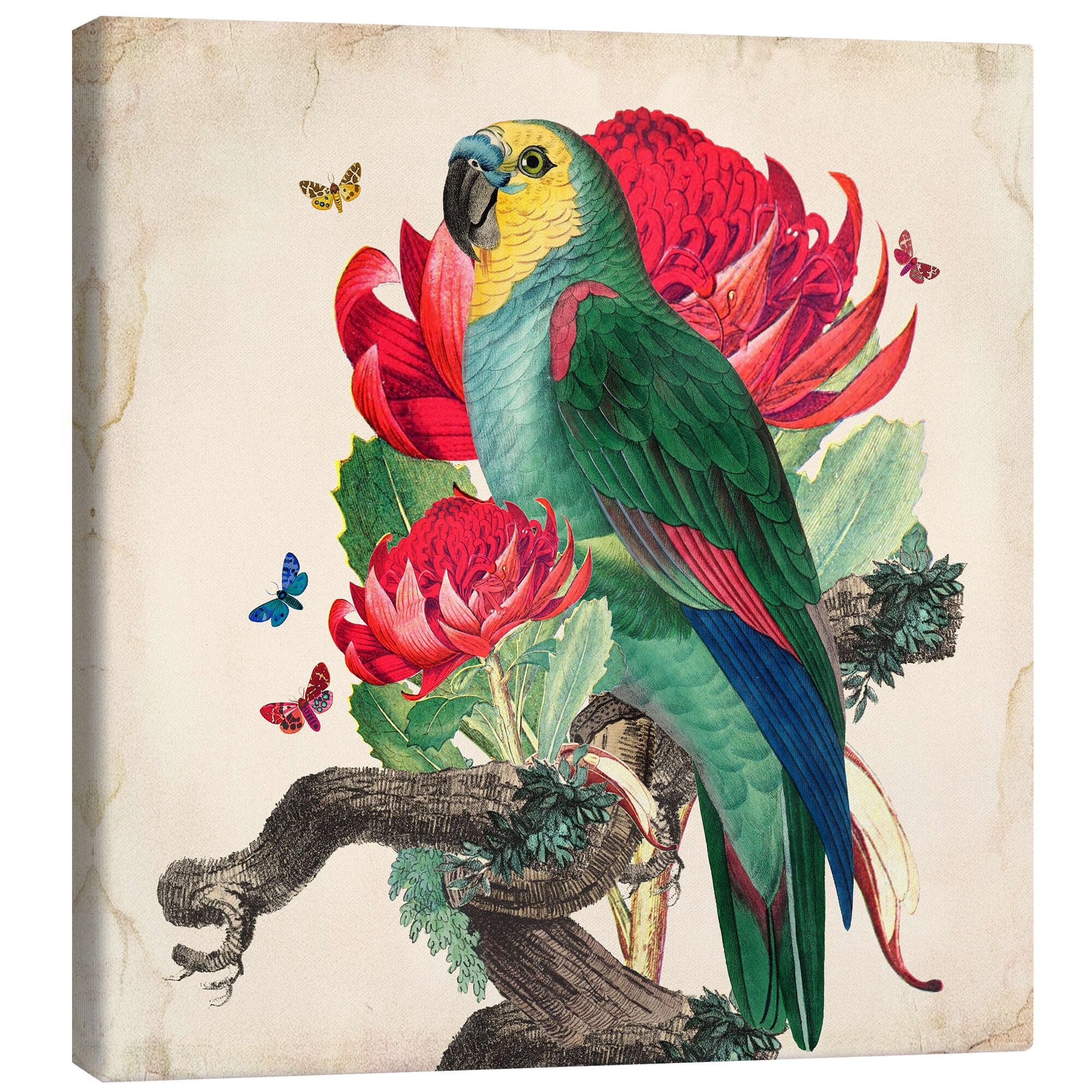 Posterlounge Leinwandbild Mandy Reinmuth Exotische Papageien X