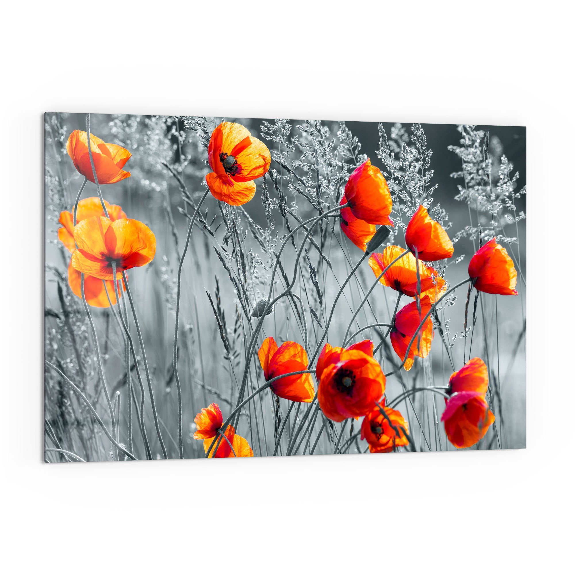 DEQORI Küchenrückwand 'Rote Mohnblumen', Glas Spritzschutz Badrückwand Herdblende