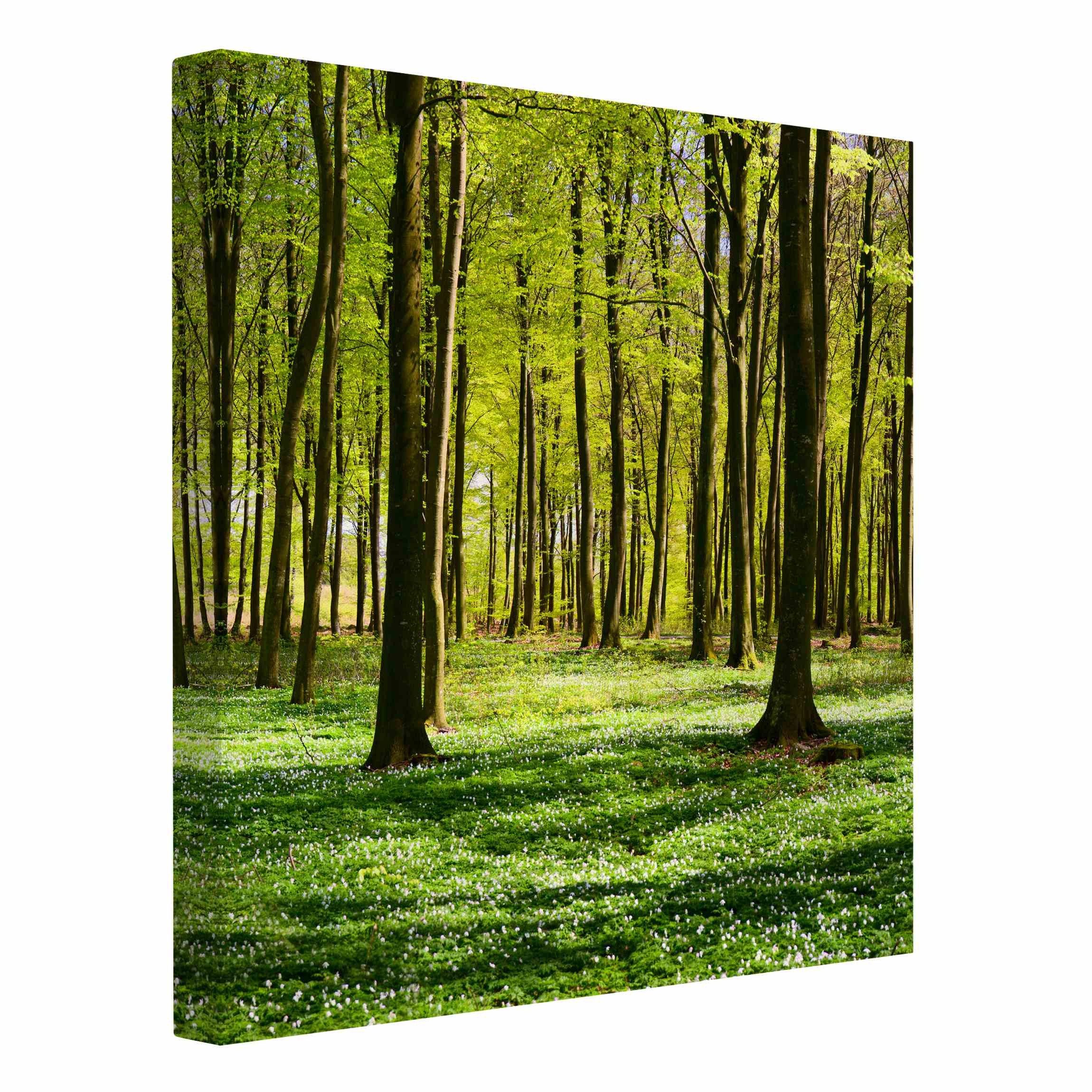 Bilderdepot24 Leinwandbild Wald Natur Landschaft Modern Waldwiese grün Bild auf Leinwand XXL ...
