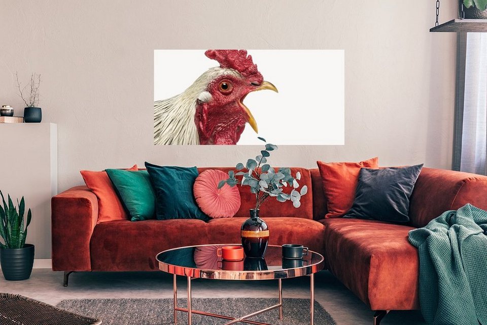 Muchowow Poster Hahn Tiere Bauernhoftiere Jungen Kinder