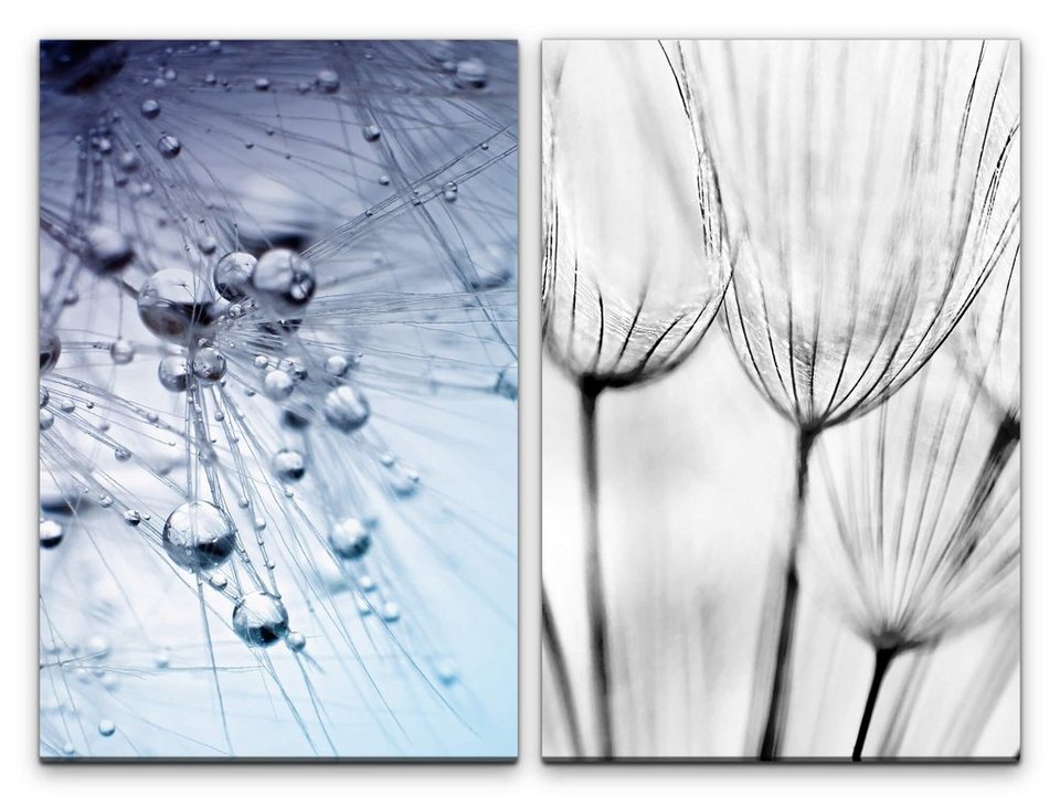 Sinus Art Leinwandbild 2 Bilder Je 60x90cm Wasserperlen Pusteblume