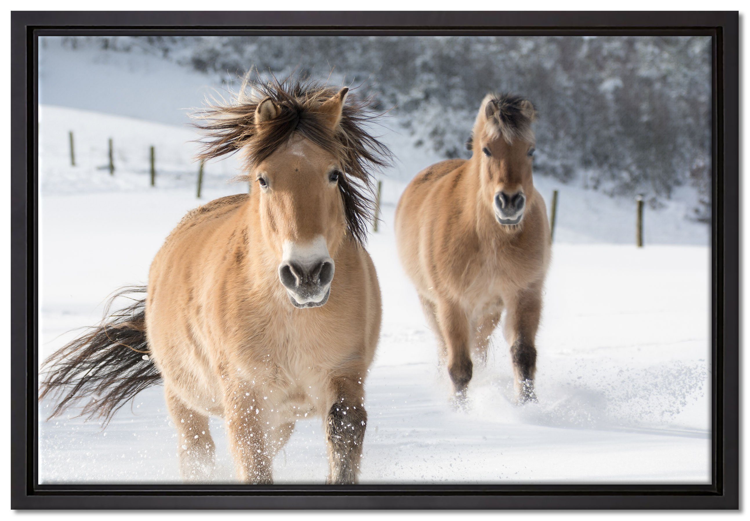 Pixxprint Leinwandbild Pferd Im Schnee Wanddekoration 1 St