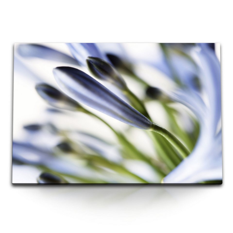 Sinus Art Leinwandbild 120x80cm Wandbild Auf Leinwand Fotokunst Blumen