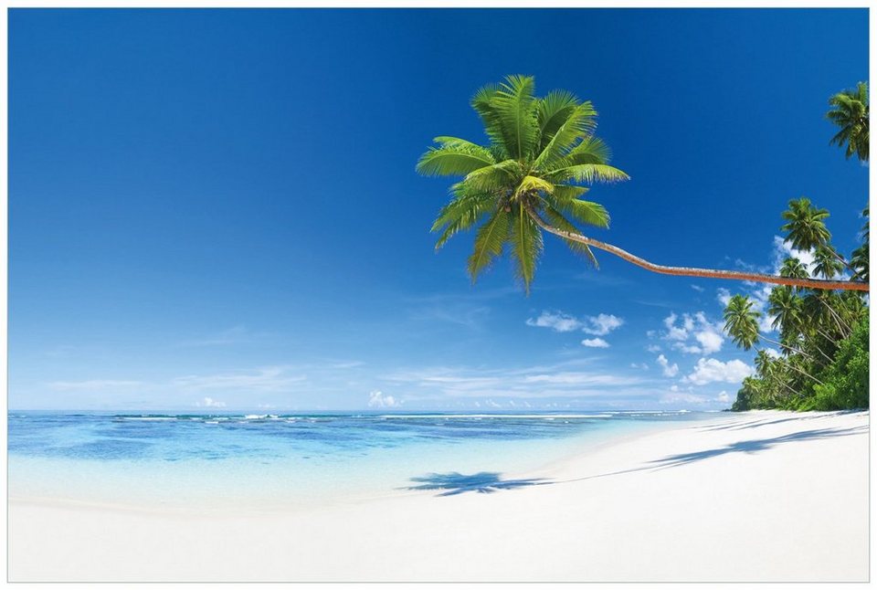 Wallario Wandfolie Weißer Sandstrand Am Meer Ein Traum Unter Palmen