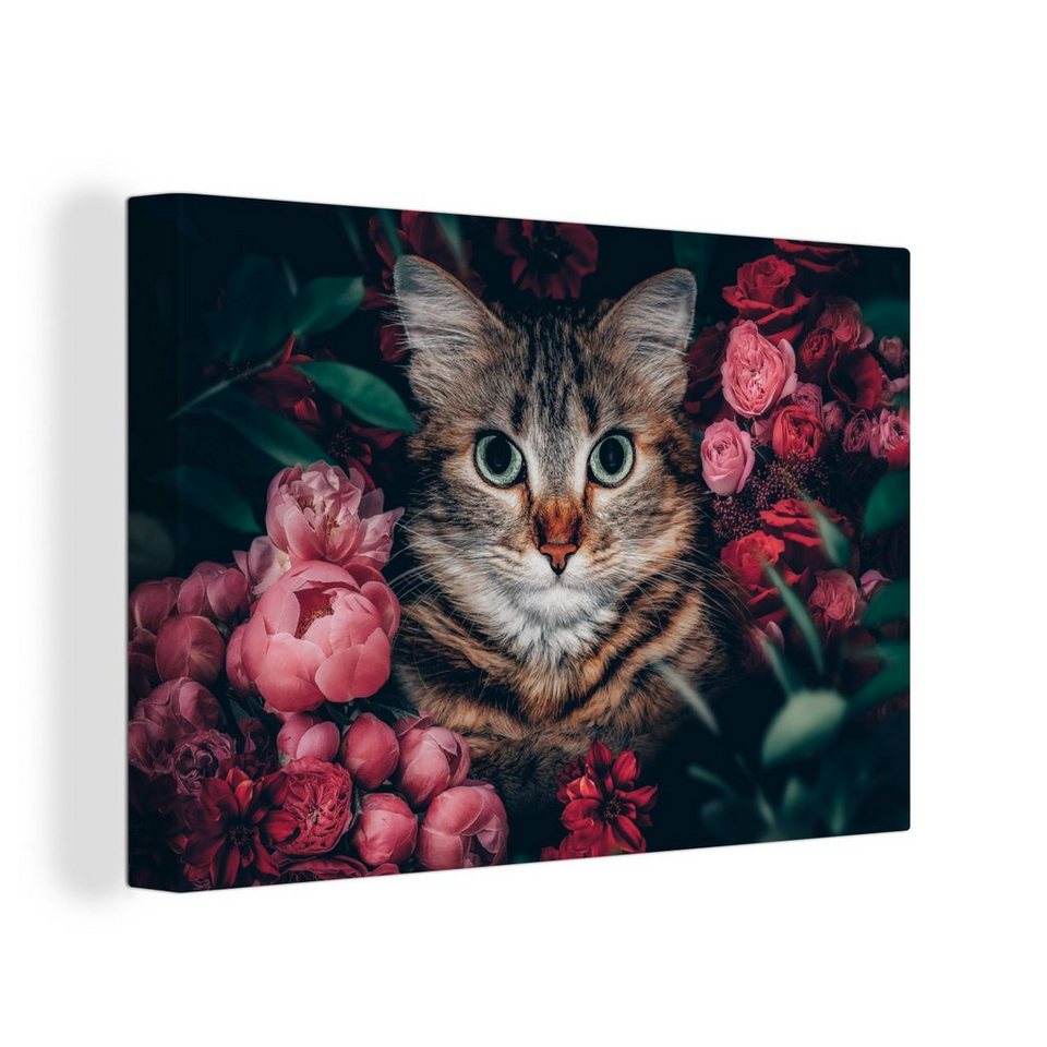 Onemillioncanvasses® Leinwandbild Katze Blumen Blätter Botanisch