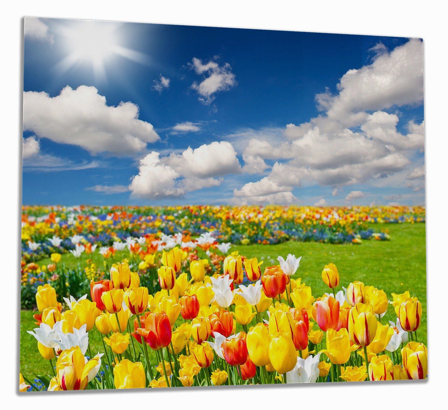 Wallario Herd Abdeckplatte Tulpenwiese Unter Blauem Himmel Esg