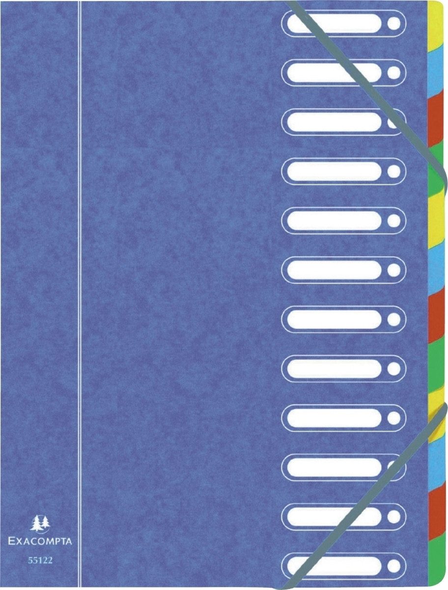 EXACOMPTA Organisationsmappe Ordnungsmappe A4 12 Fächer Karton blau ...