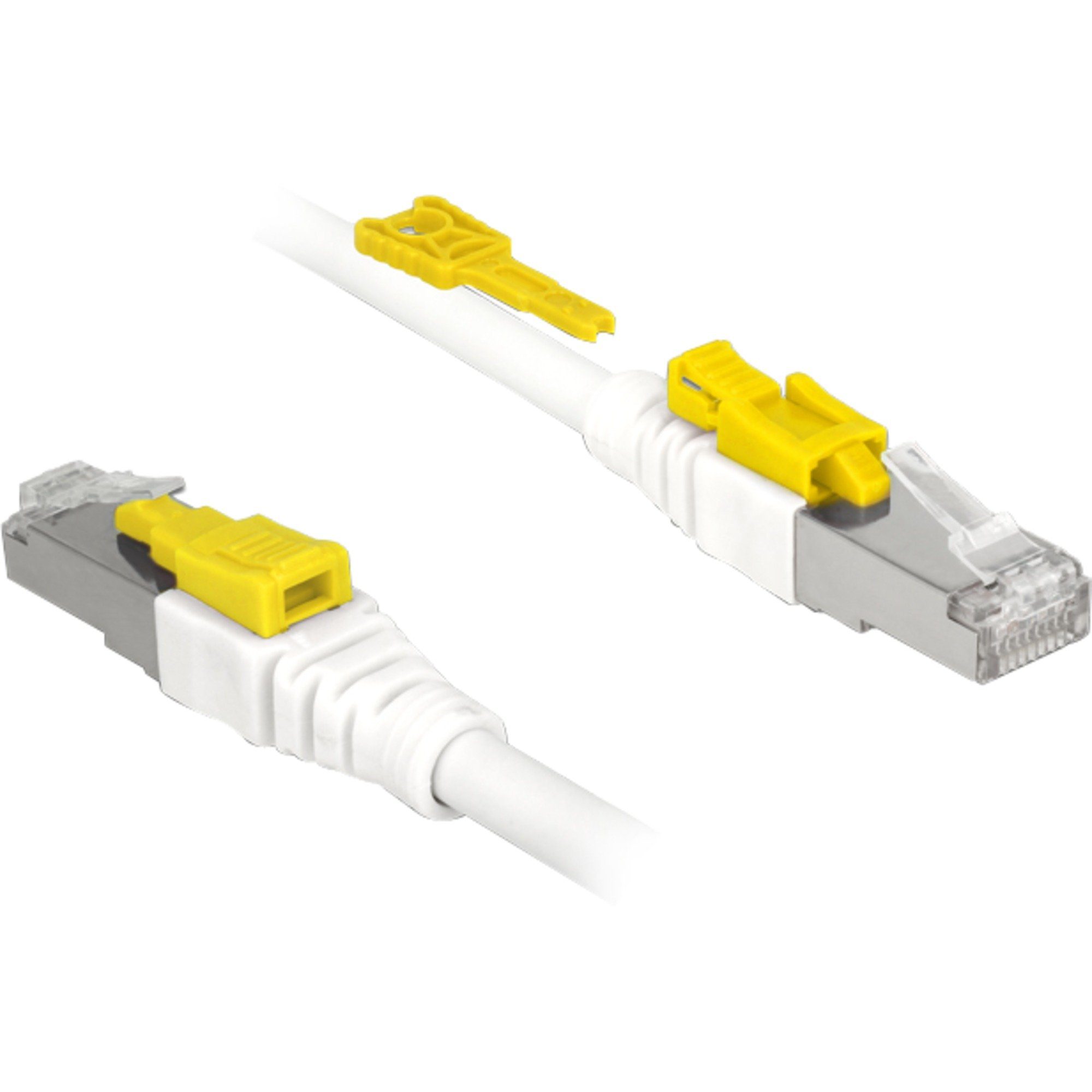 Delock RJ45 Secure Cat. 6A LAN-Kabel, Anschlüsse: 1x RJ-45 (Stecker ...