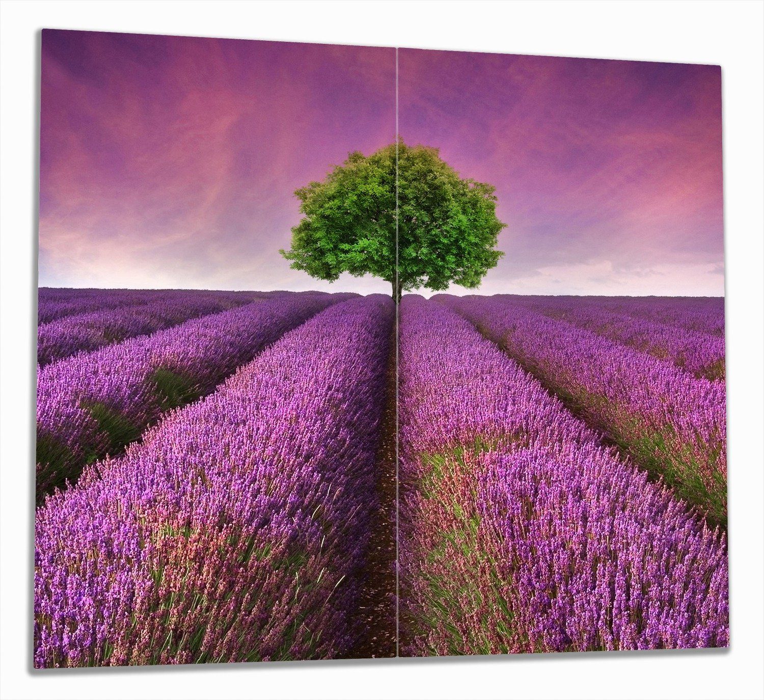 Wallario Herd Abdeckplatte Lila Blumenfeld Esg Sicherheitsglas