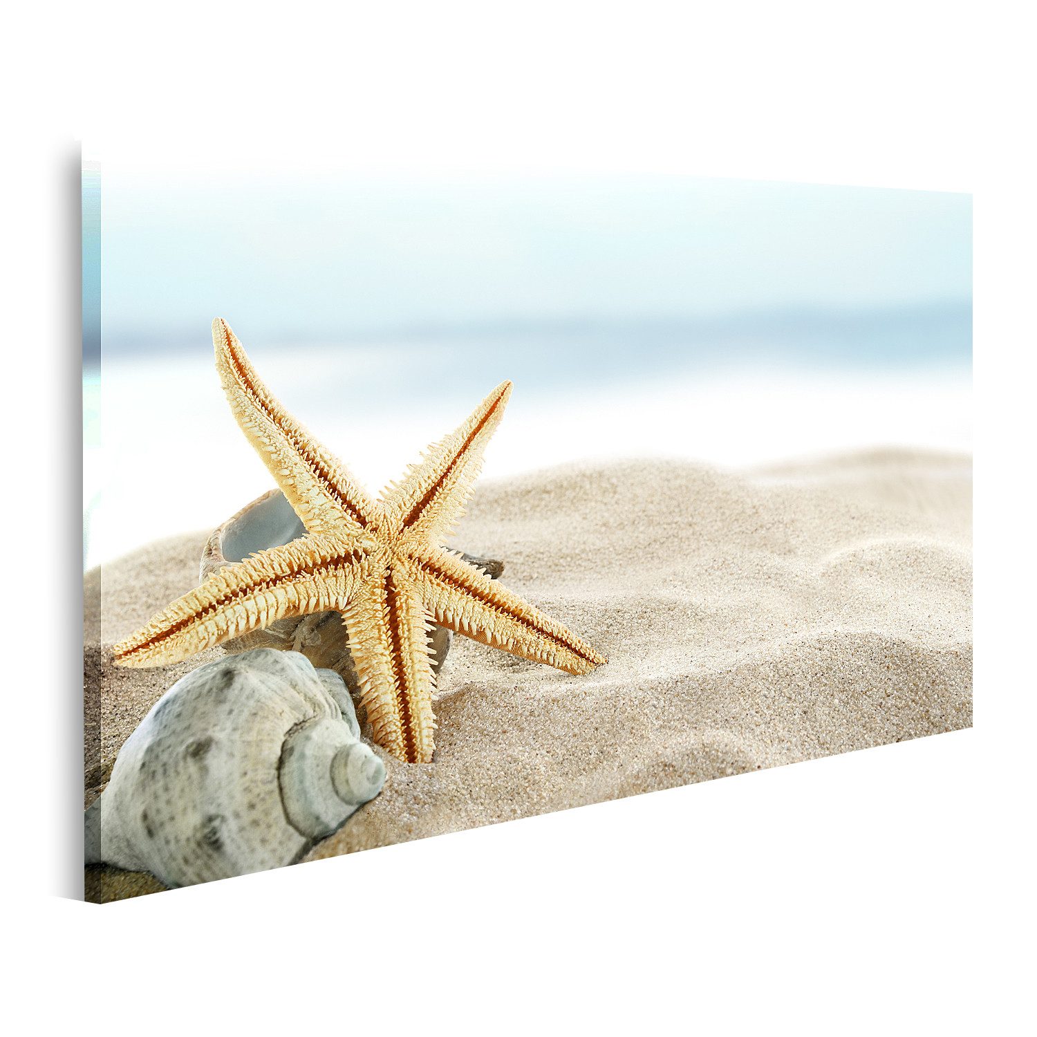islandburner Leinwandbild Seesterne am Strand 44A Bilder
