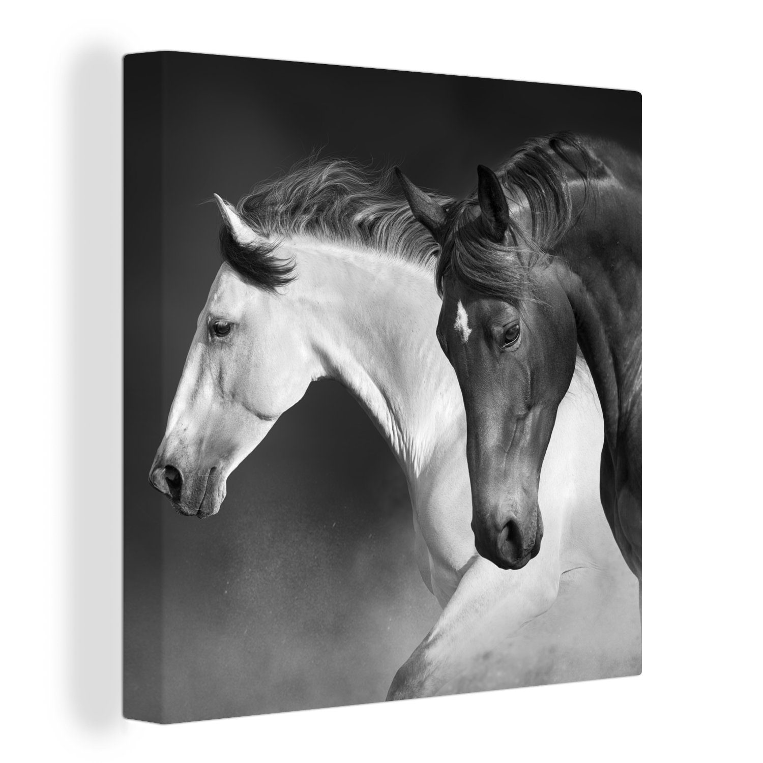 Onemillioncanvasses® Leinwandbild Pferde Tiere Schwarz Weiß