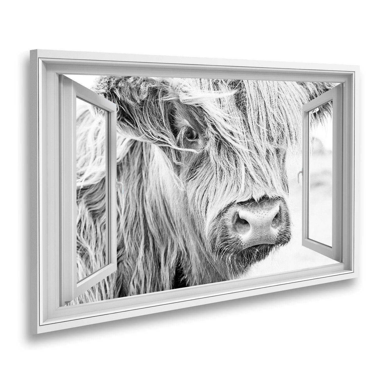 islandburner Leinwandbild »Bild auf Leinwand Fensterblick Schottische Kuh im grünen Gras ...