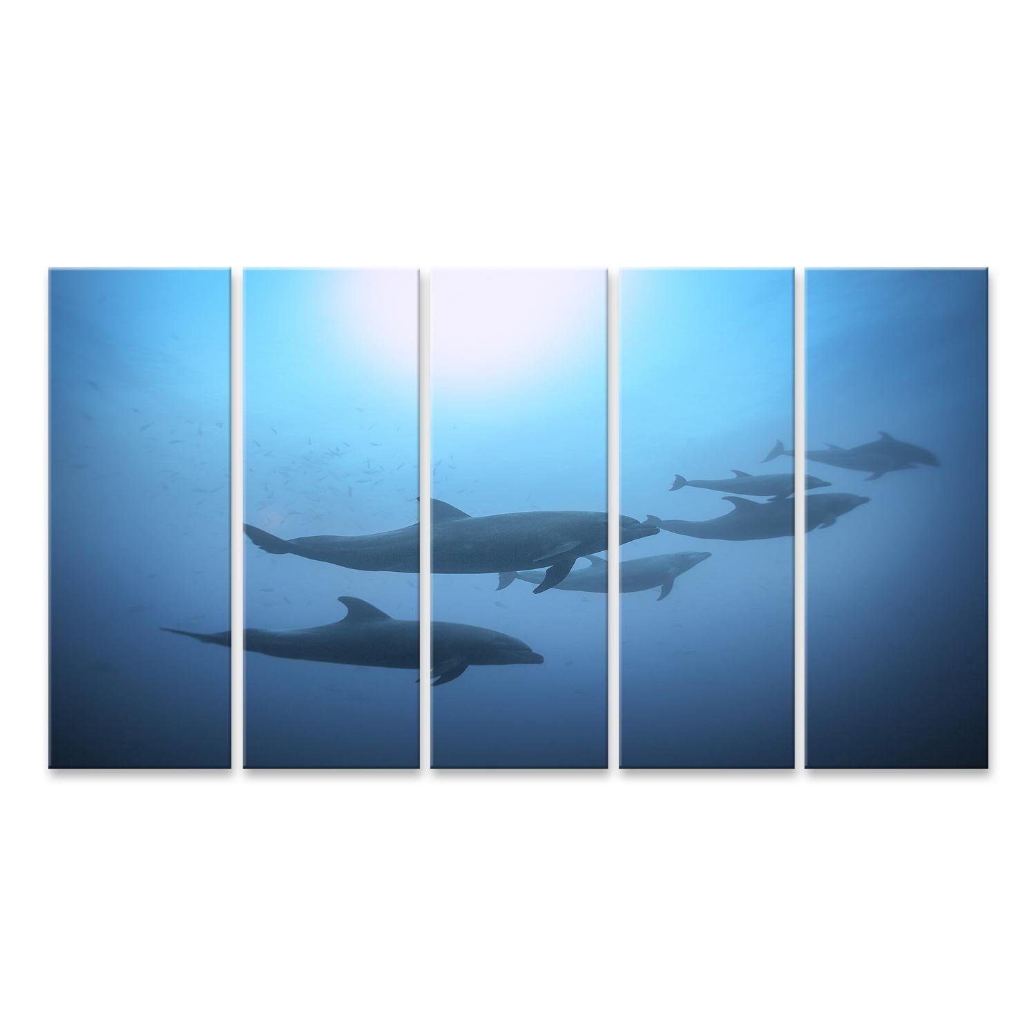islandburner Leinwandbild »Bild auf Leinwand Delfine Blick Unter Wasser Im Meer Wandbild ...