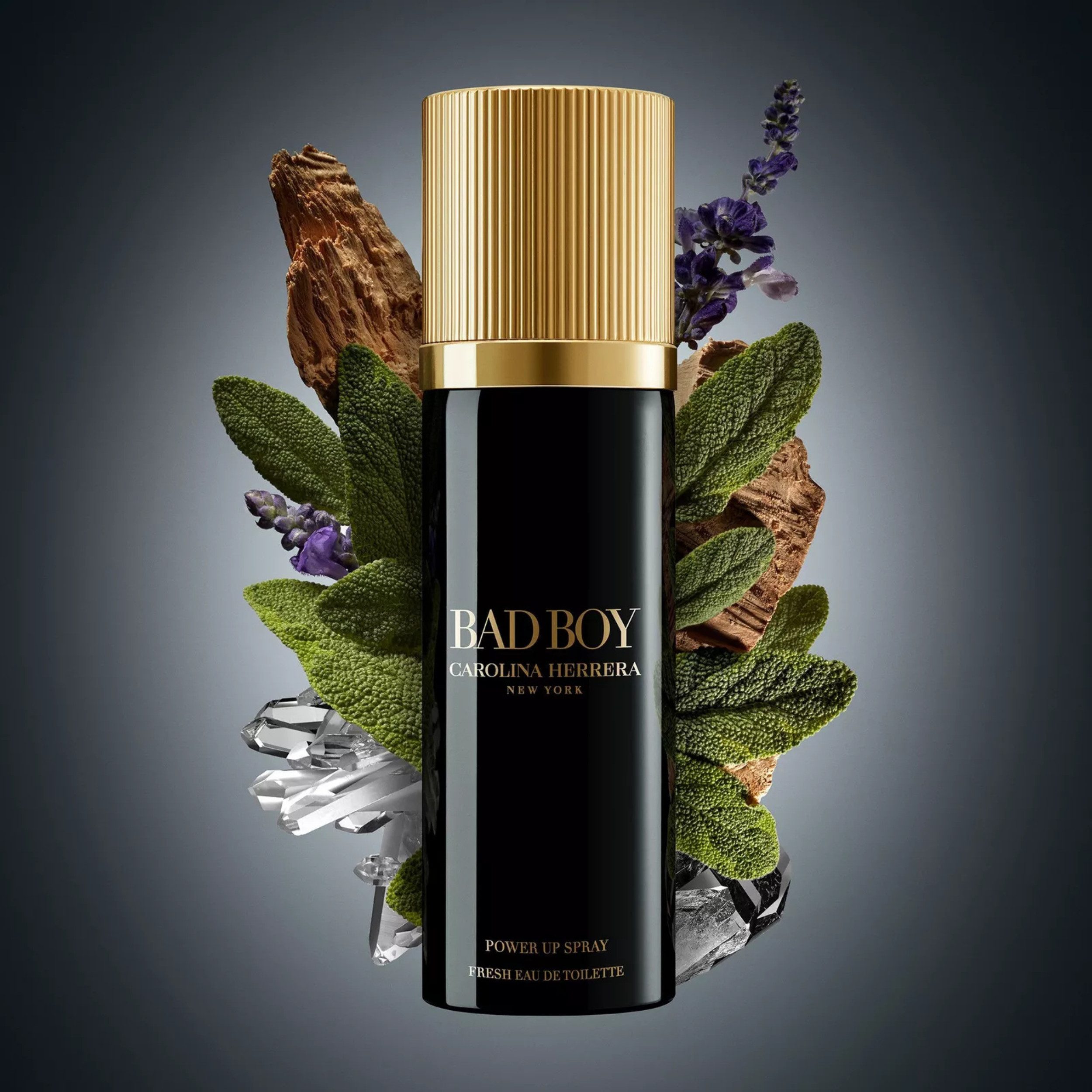 Carolina Herrera Eau de Toilette Bad Boy Power Up Spray 100 ml ...