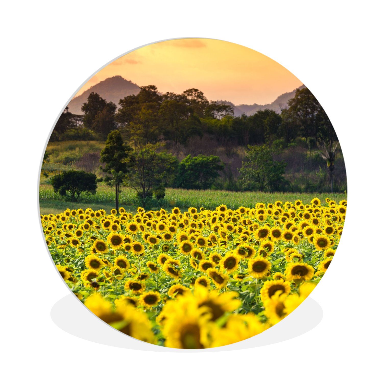 Muchowow Gemälde Wandbilder Sonnenblume Natur Berg Ø Cm 1 St