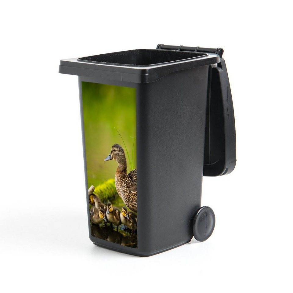 Muchowow Wandsticker Ente Vögel Wasser Zweig Moos 1 St