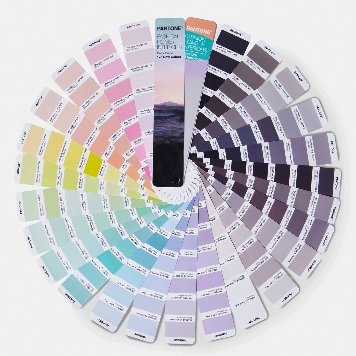 PANTONE Wandfarben online kaufen | OTTO