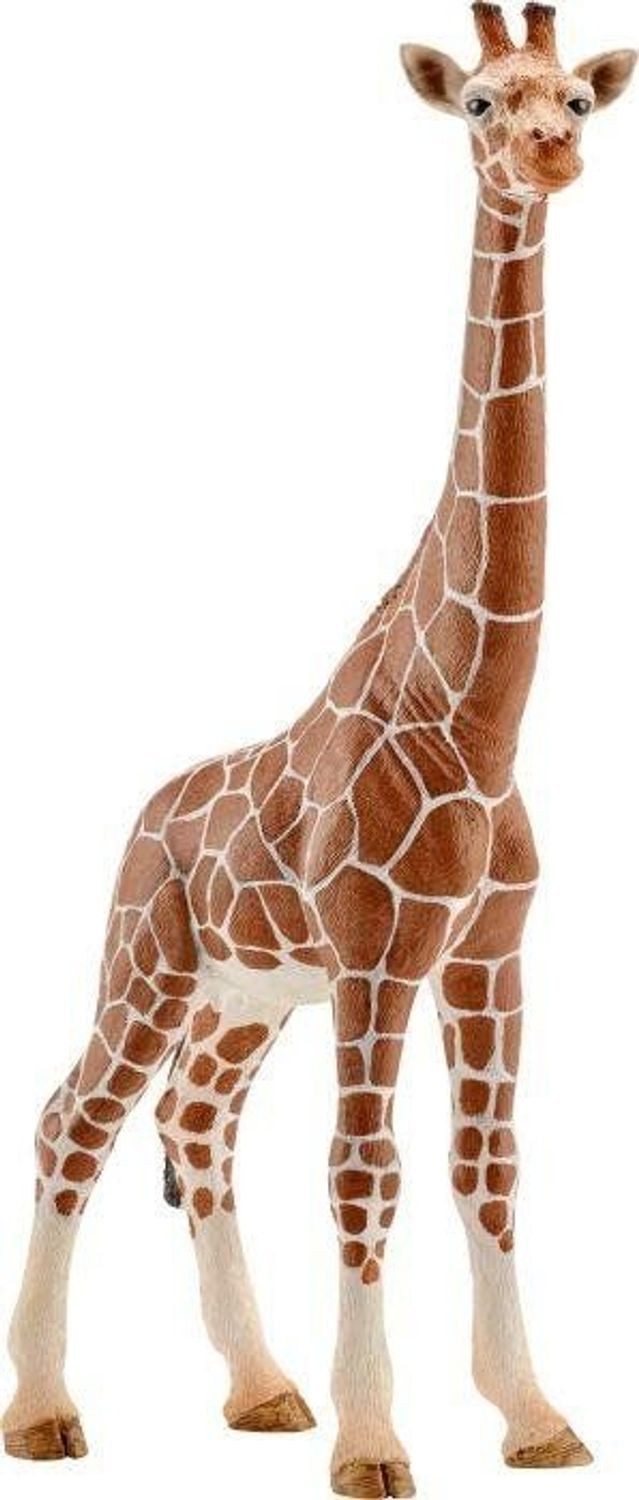 Schleich® Spielfigur Wild Life, (1-tlg), Spielzeugfigur