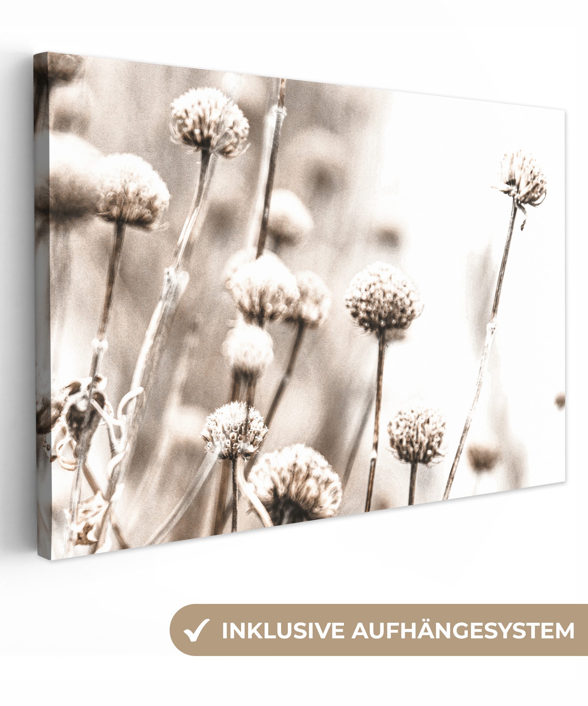 Onemillioncanvasses® Leinwandbild Blumen Pflanzen Stillleben