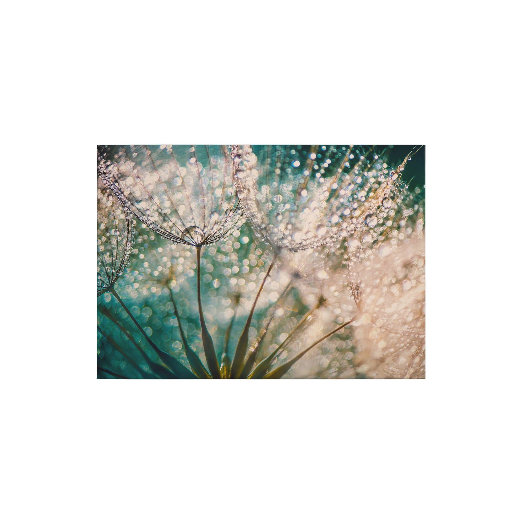 ᐅ Tadessi Leinwandbild Blumen 50 x 70 cm Floral Natur Deko M1-No.50282 | OTTO