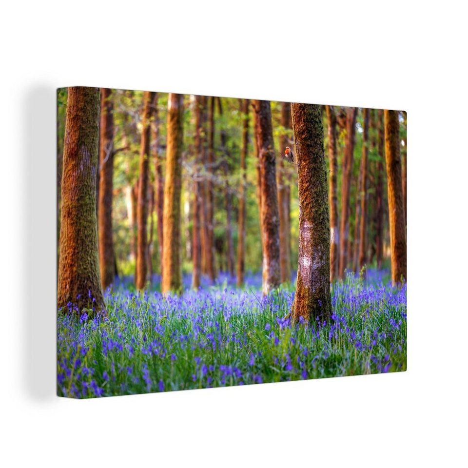Onemillioncanvasses® Leinwandbild Rotkehlchen In Einem Geheimnisvollen