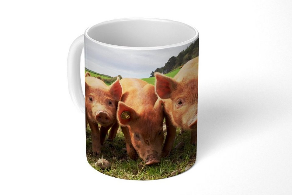 Muchowow Tasse Schwein Gras Tier Keramik Kaffeetassen Teetasse