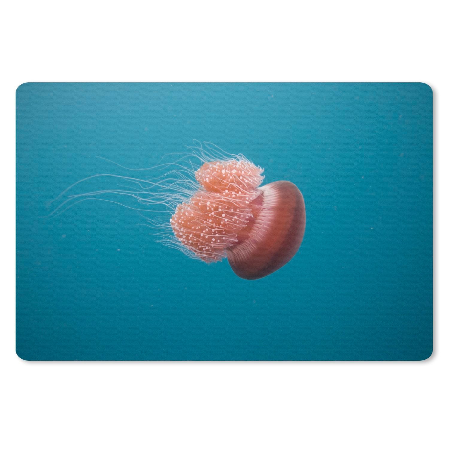 Muchowow Mauspad Eine Rosa Qualle In Blauem Wasser In Australien 1 St