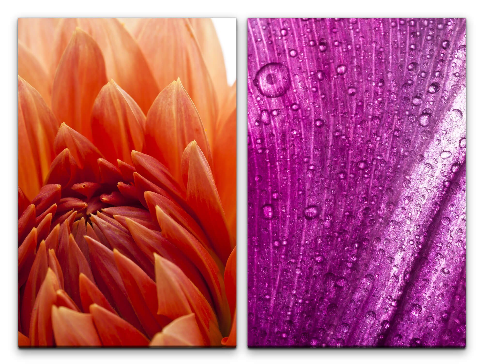 Sinus Art Leinwandbild 2 Bilder Je 60x90cm Dahlie Rote Blume