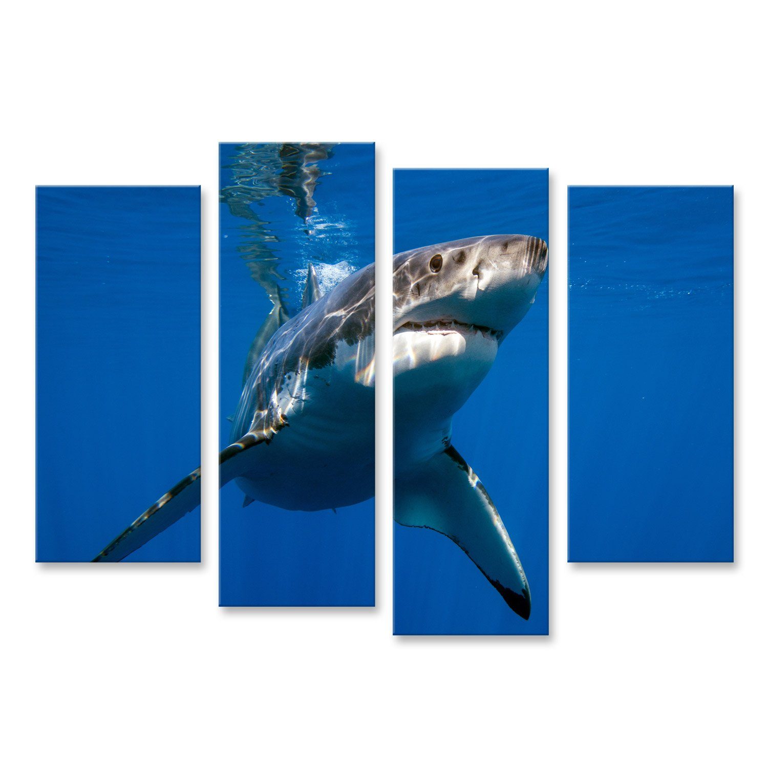 islandburner Leinwandbild Bild auf Leinwand Great White Shark Ready To Attack Coming You Deep Bl