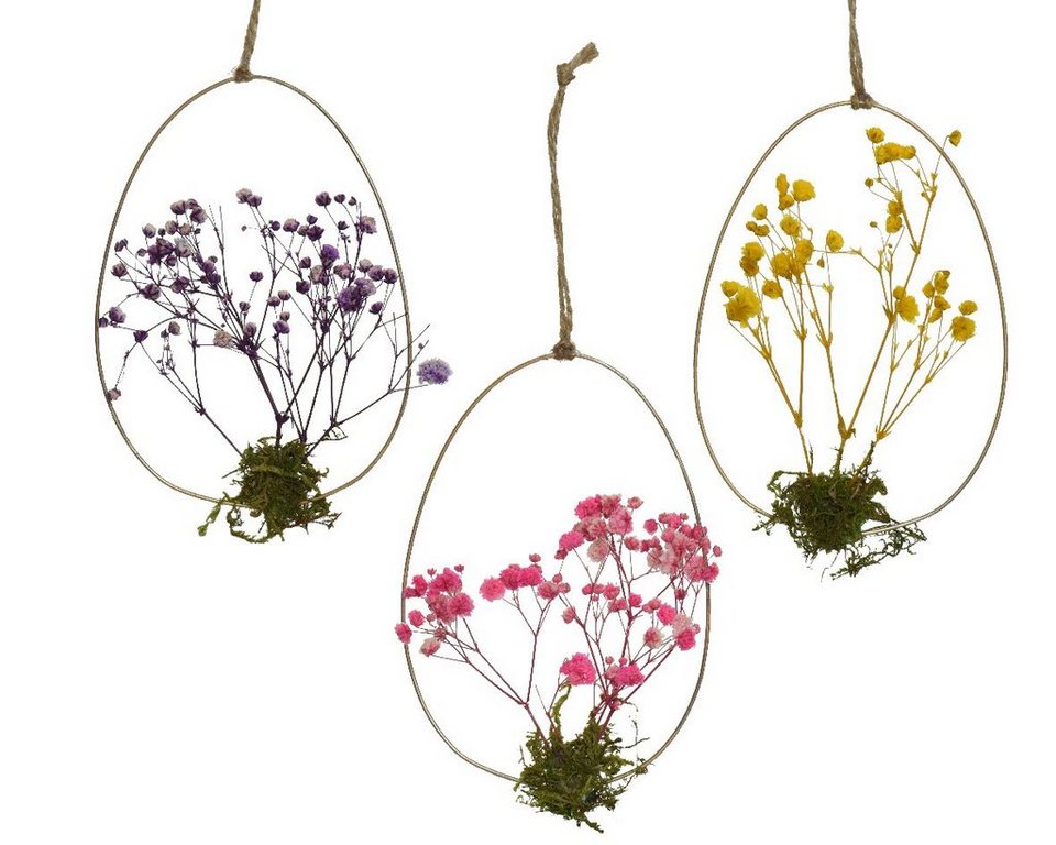 Decoris Season Decorations Hängedekoration Trockenblumen Hängedeko In