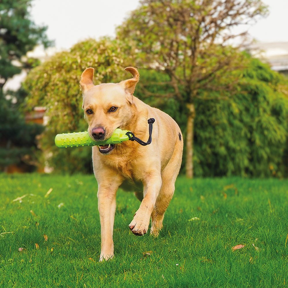 Procyon Hunde-Dummy Snackdummy "Silikon", Silikon, (1-tlg) wetterfest ...