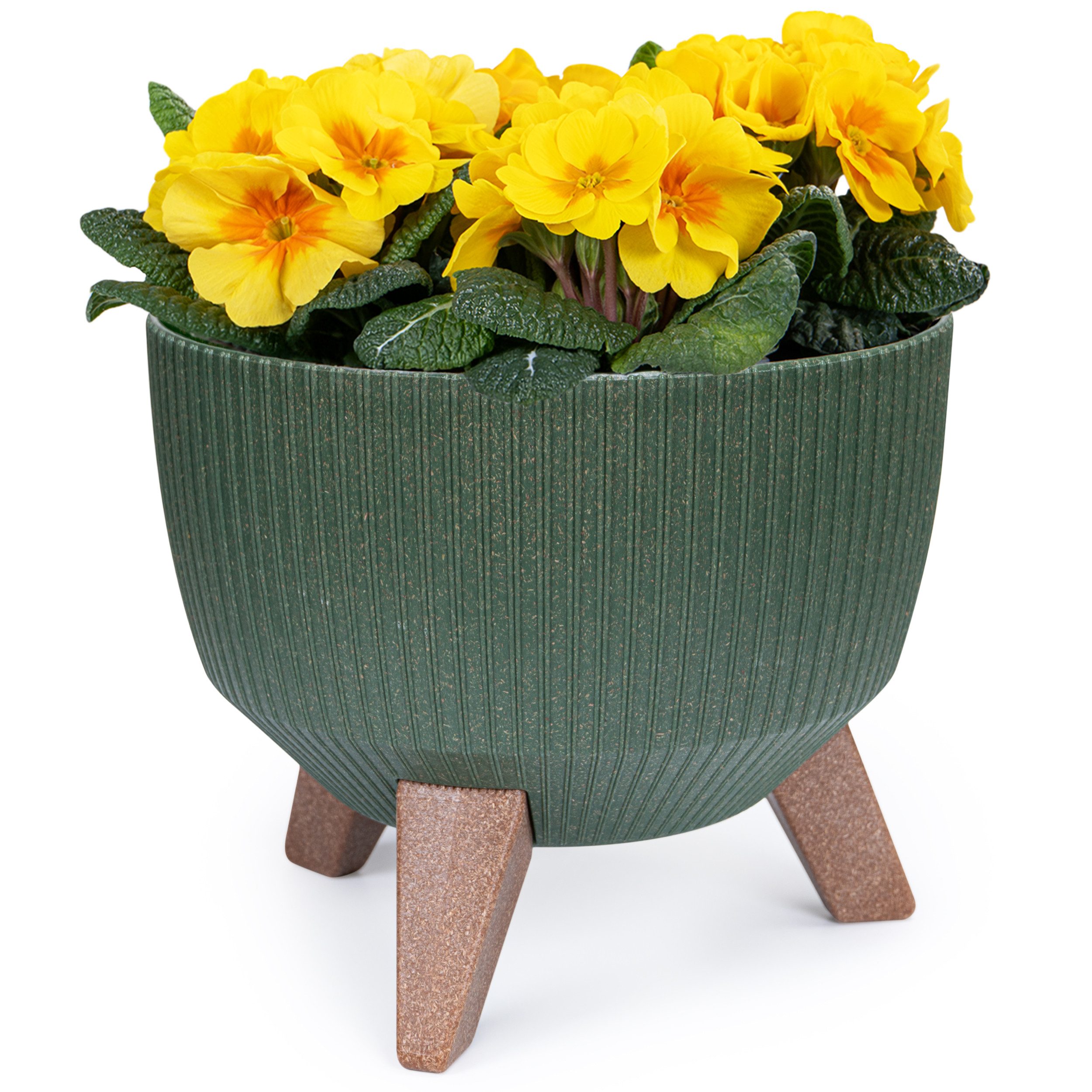 KONZEPT Blumentopf Pflanzschale 24/29cm Blumentopf mit Füßen, mit Wasserabfluss-Einsatz ...