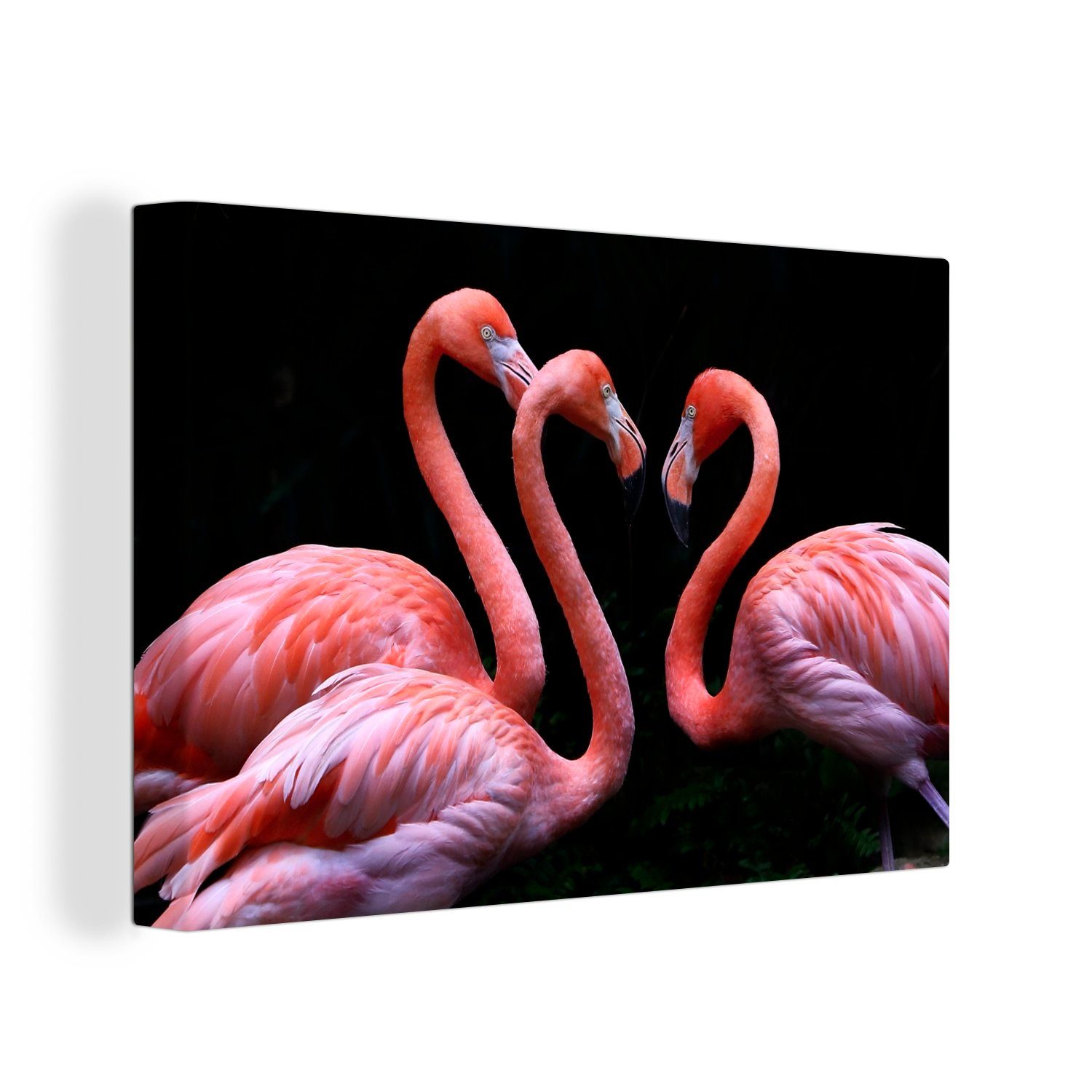 Onemillioncanvasses® Leinwandbild Drei Rosa Flamingos Auf Einem