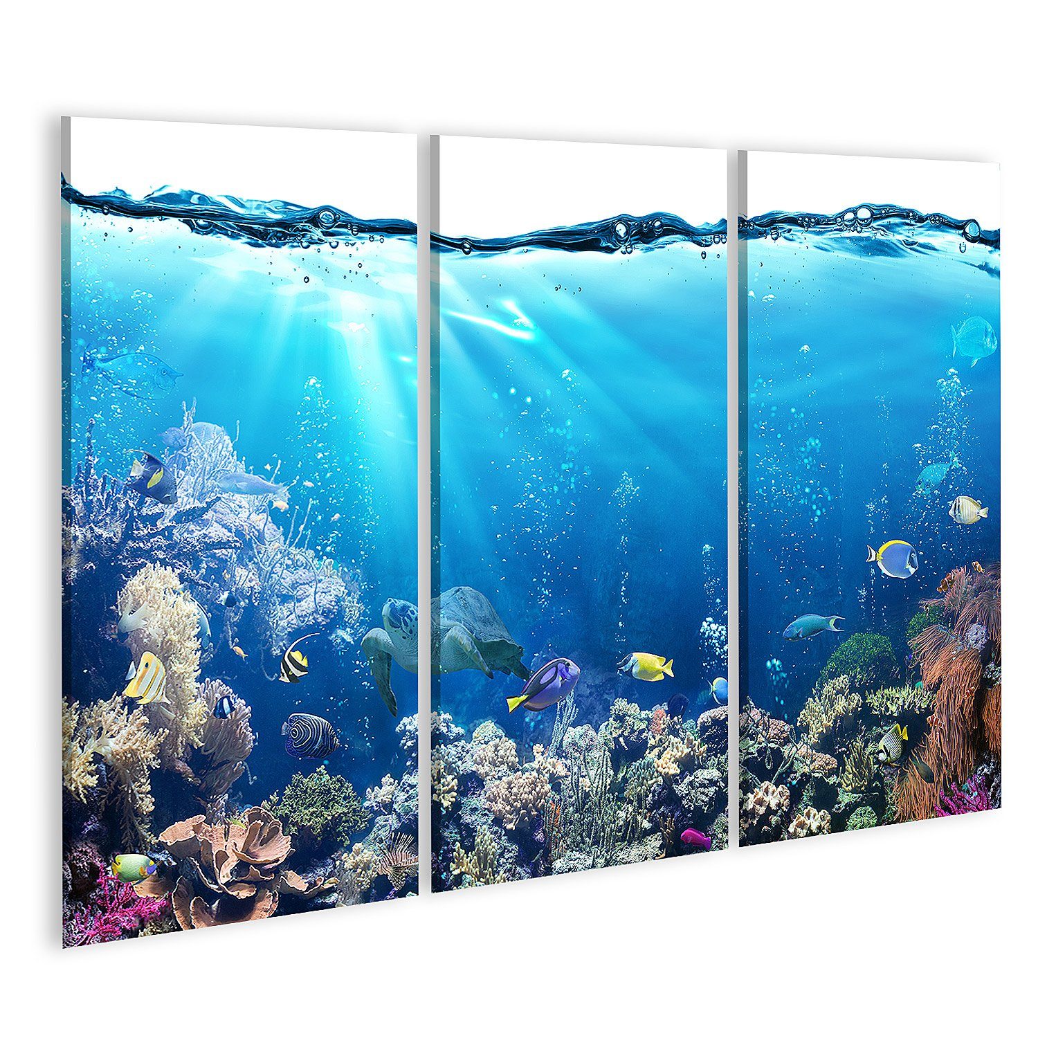 islandburner Leinwandbild »Bild auf Leinwand Unterwasser Szene Mit Riff Und Tropischen Fischen ...